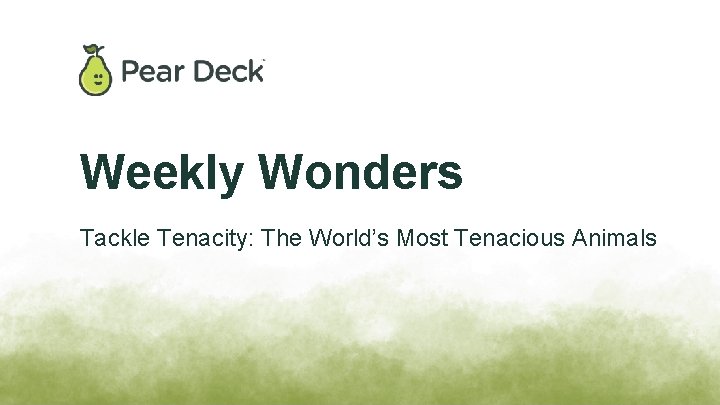 Weekly Wonders Tackle Tenacity The Worlds Most Tenacious