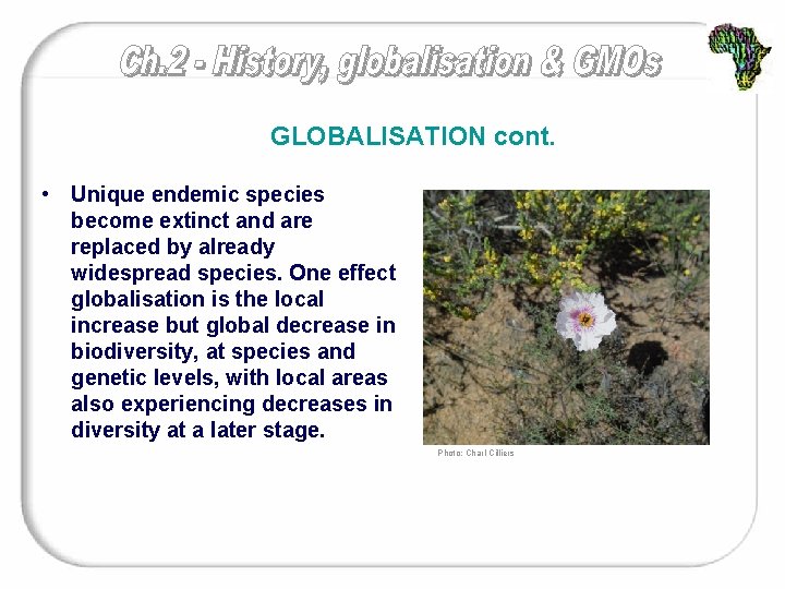HISTORY OF BIOLOGICAL INVASIONS CONTINUED GLOBALISATION AND THE