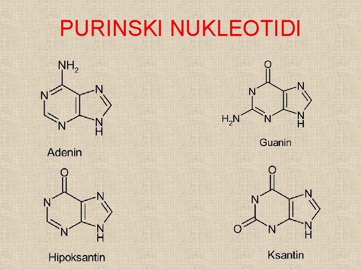 METABOLIZAM PURINA I PIRIMIDINA Samo oko 5 unijetih