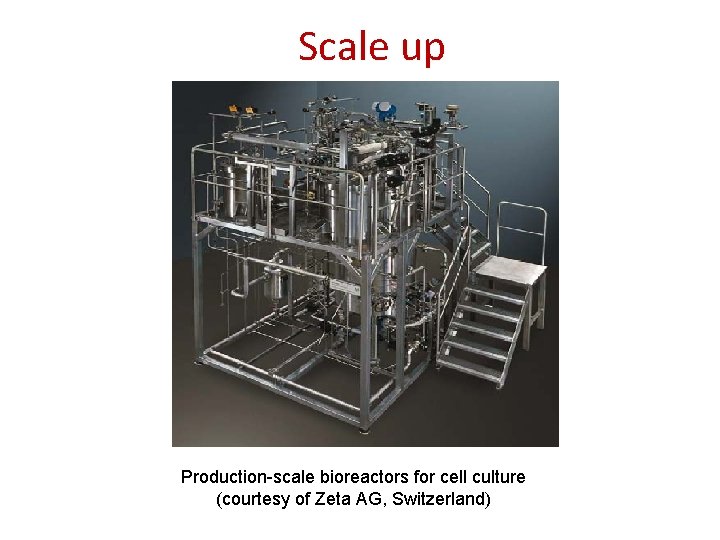 Bioreactors and scale up Tissue Engineering Drug Delivery