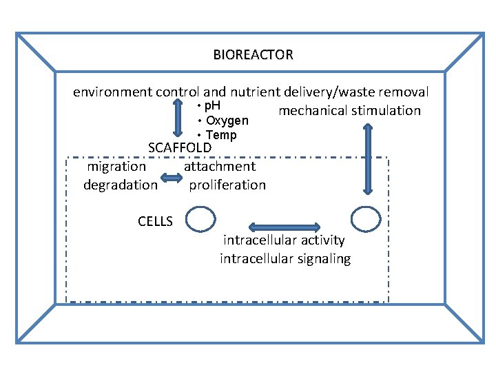 Bioreactors and scale up Tissue Engineering Drug Delivery