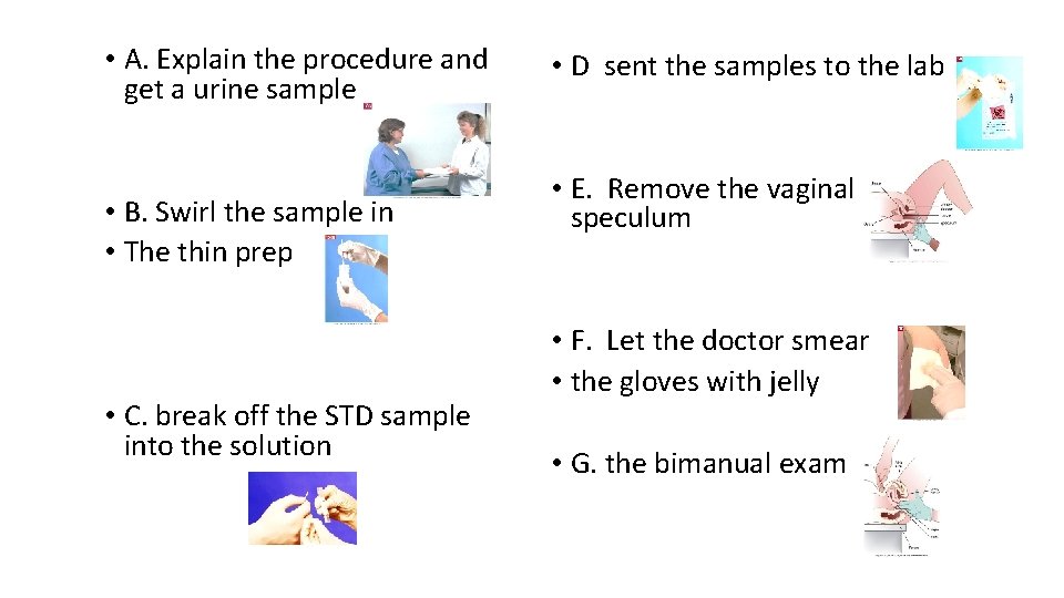 Chapter 8 OBGYN Obstetrics OB is the branch