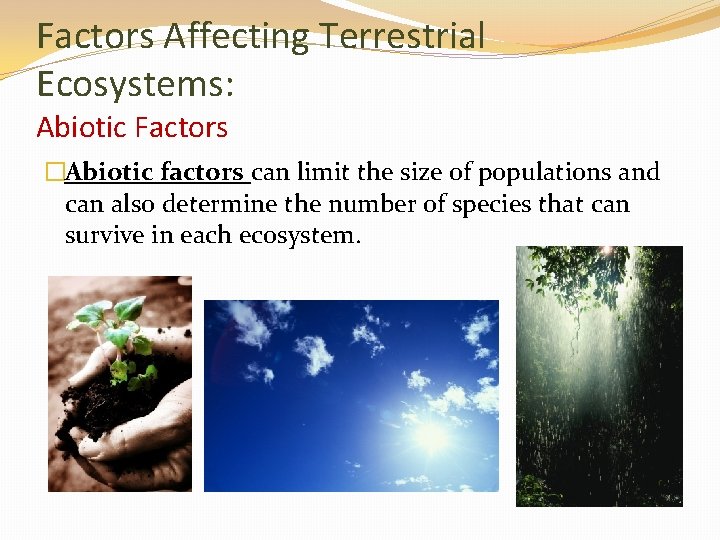 Factors Affecting Ecosystems Chapter 4 3 Pgs 101