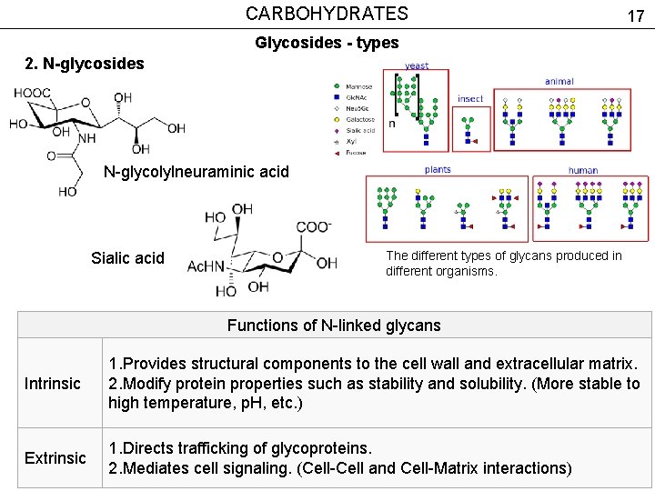 CARBOHYDRATES OBJECTIVES 1 To understand terminology of carbohydrates