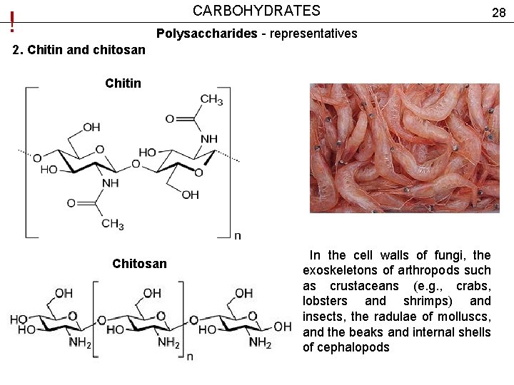 CARBOHYDRATES OBJECTIVES 1 To understand terminology of carbohydrates