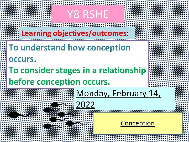 What is IT all about What is Sexual