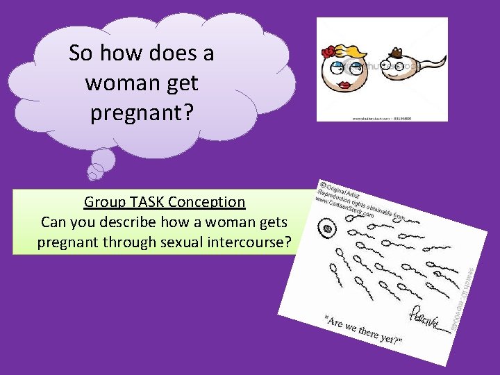 What is IT all about What is Sexual