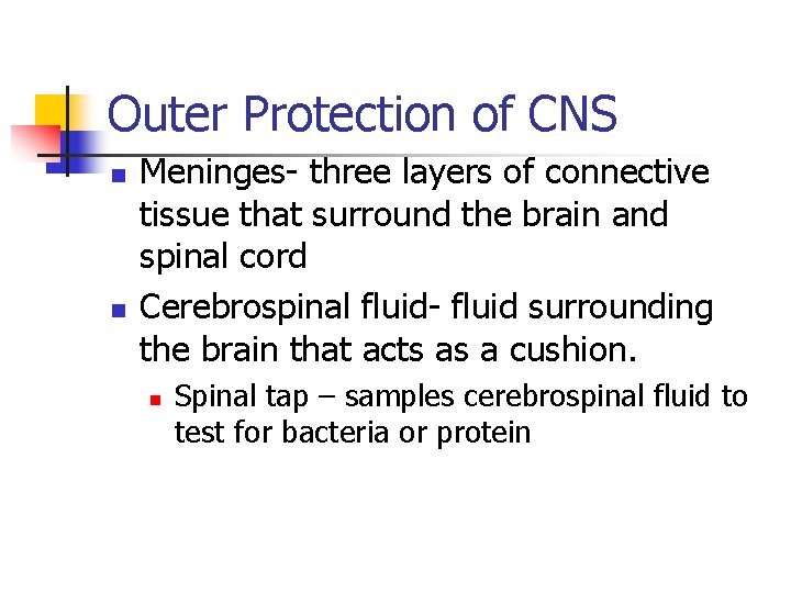 Divisions of the Nervous System Central Nervous System
