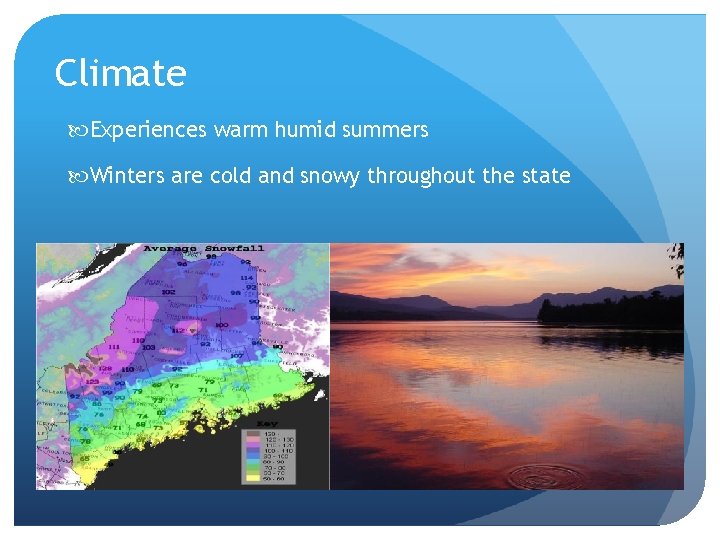 Maine The Pine Tree State By Peyton Specializations