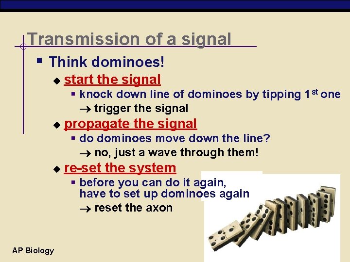 Transmission of a signal Think dominoes u start