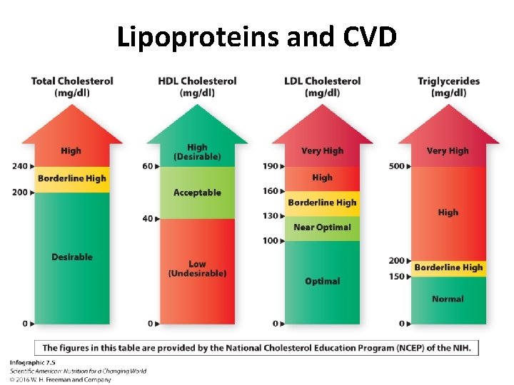 Chapter 7 LIPIDS IN HEALTH DISEASE Objectives Summarize