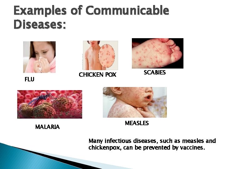 Grade 4 Health and Family Life Communicable Diseases