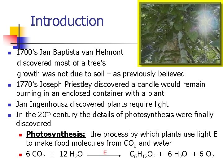 Photosynthesis Using Light to Make Food Honors Biology