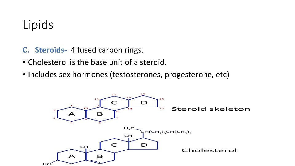 Organic CompoundsMacromoleculesBiomolecules Organic Molecules AKA ...