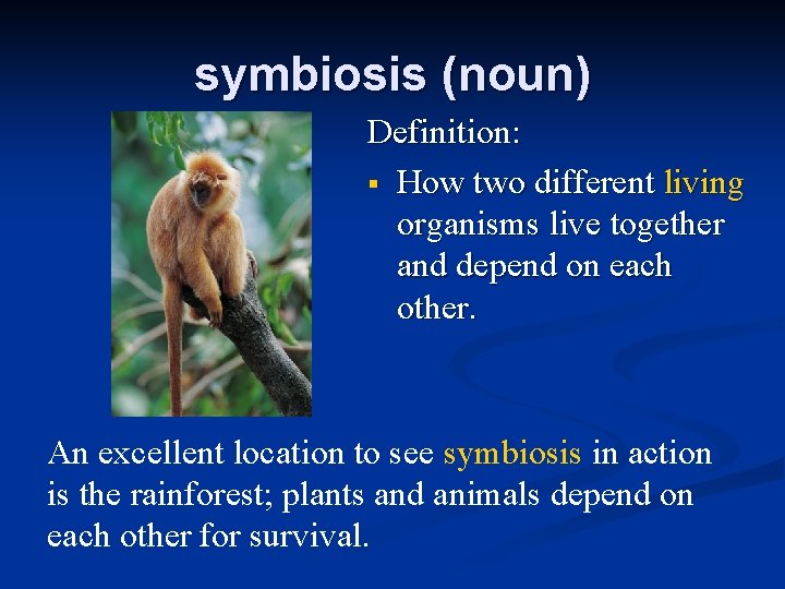 BIO bio life antibiotic noun Definition A medicine