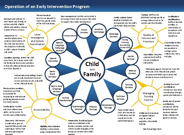 Operation of an Early Intervention Program Planned services