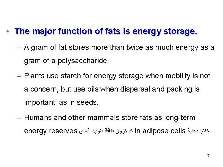 Lipids The Hydrophobic Molecules 1 Fats store large