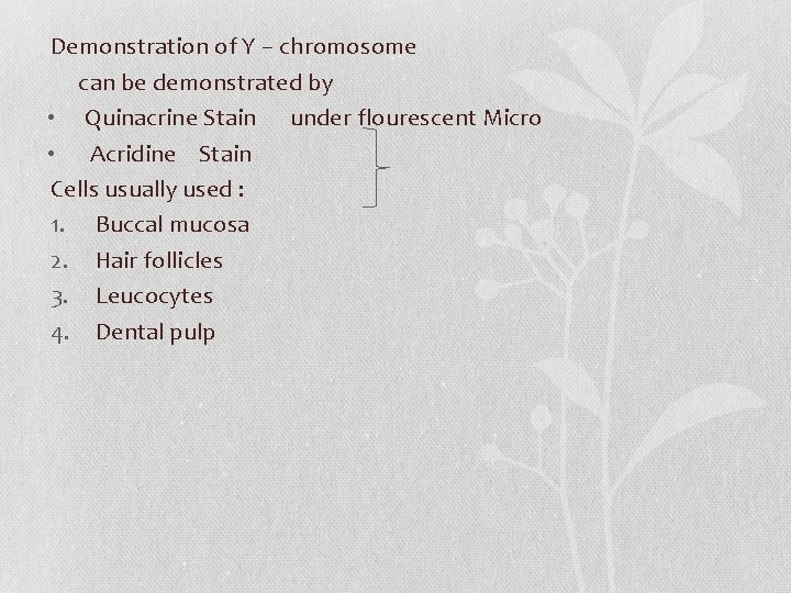 INTERSEX AND MICROSCOPIC IDENTIFICATION OF SEX Moderator Prof