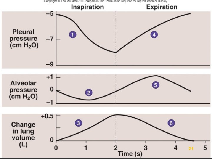 1 Part 1 Structure and Function of the