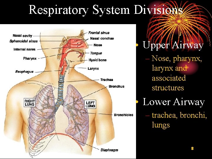 1 Part 1 Structure and Function of the