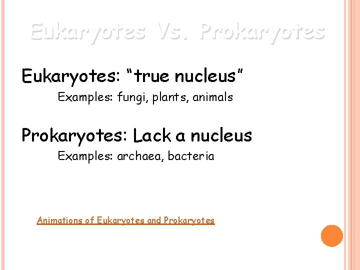 8 th Grade Biology Figure 1 Flower Personal