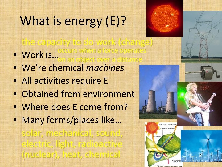 Chapter 4 Pt 1 How Cells Obtain Energy