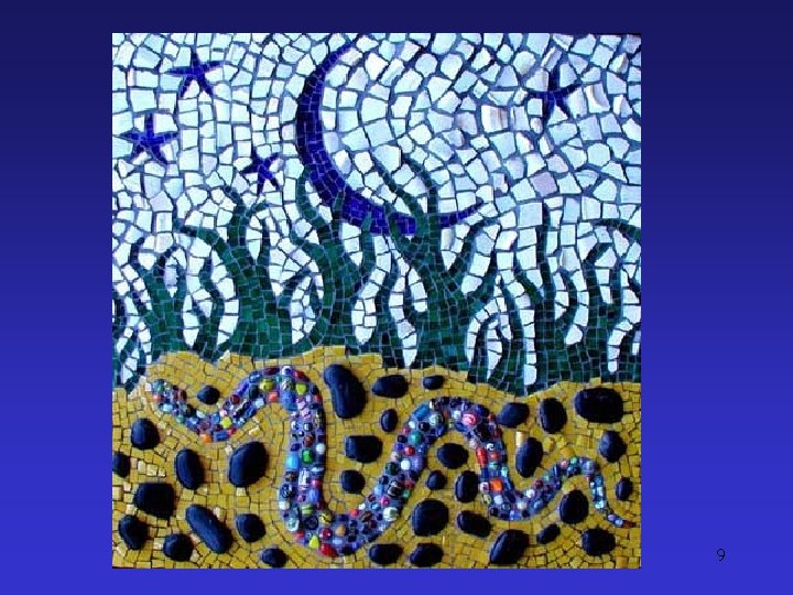 The Plasma Membrane Gateway to the Cell 1