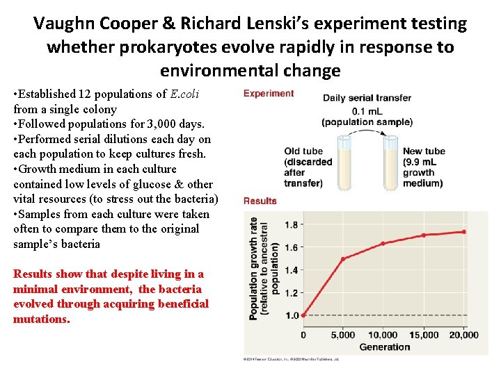 Bacterial Genome Variations Rapid reproduction mutation and genetic