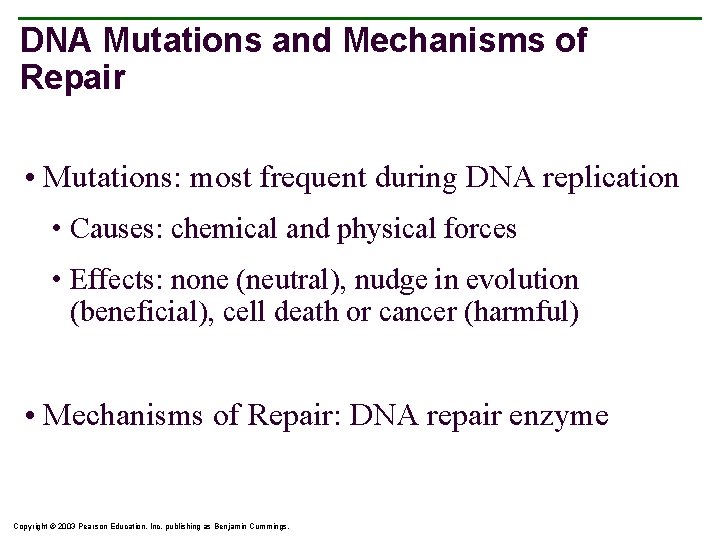 Power Point Lecture Slide Presentation by Robert J