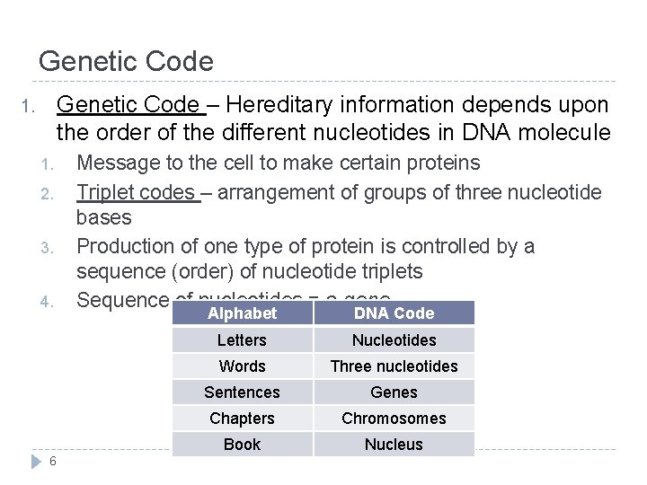 1 Basic Units of Heredity 1 DNA deoxyribose