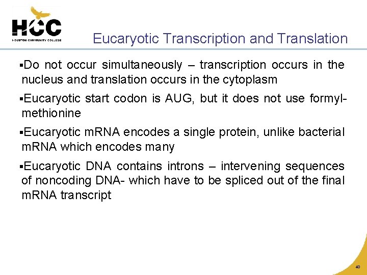 Chapter 9 Microbial Genetics Genetics and Genes Genetics