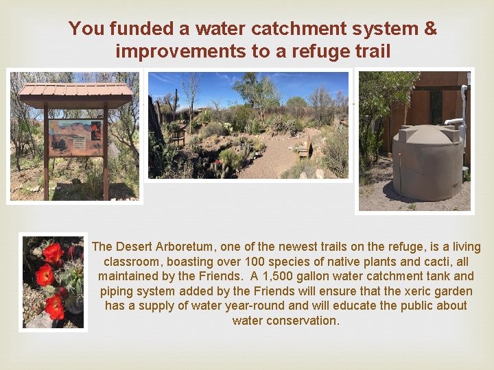 YOU make a difference for Bosque del Apache