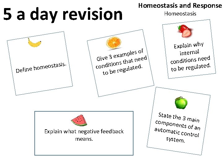 Homeostasis and Response 5 a day revision eost