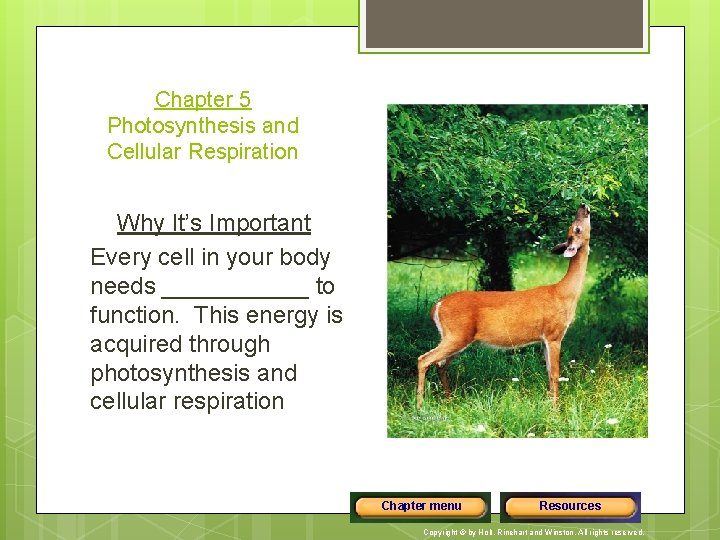 Chapter 5 Photosynthesis and Cellular Respiration Why Its
