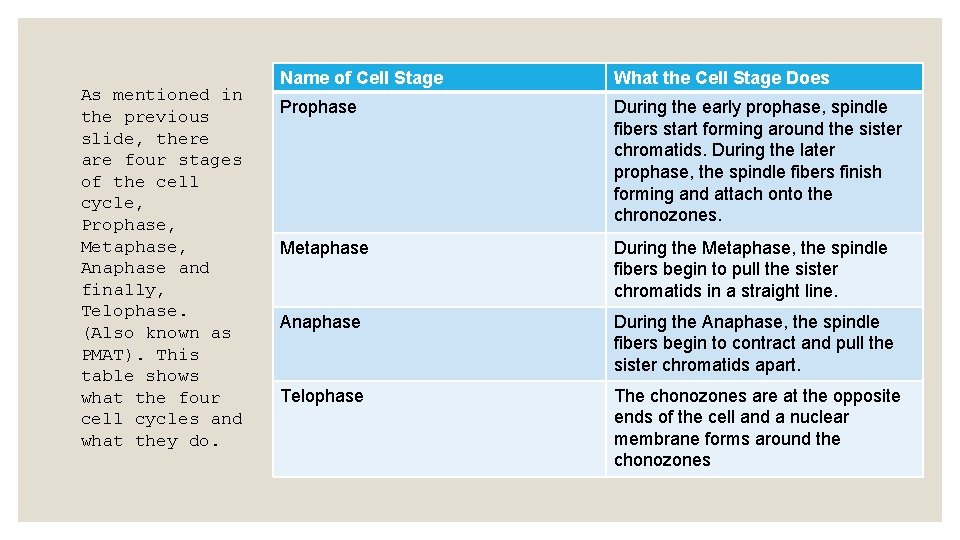 MITOSIS ANALOGY PROJECT By Avelina and Marissa So