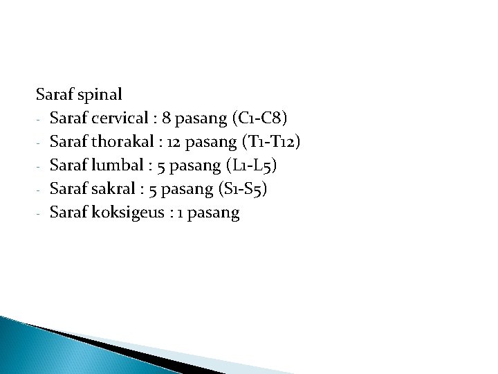 The Peripheral Nervous System Sistem saraf perifer Sistem