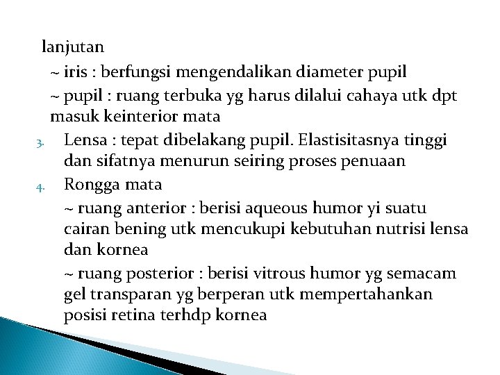 The Peripheral Nervous System Sistem saraf perifer Sistem