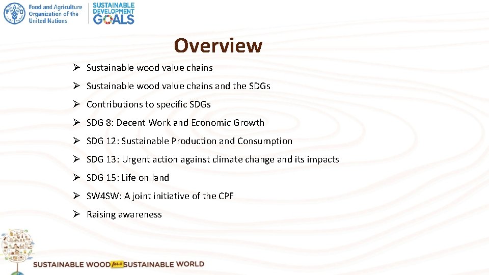 Sustainable Wood Value Chains Contributions to the UN