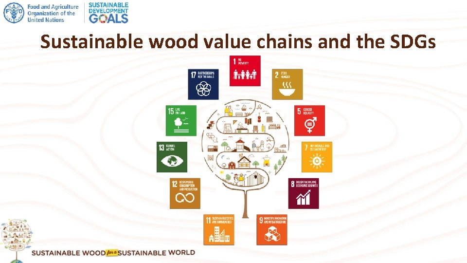 Sustainable Wood Value Chains Contributions to the UN