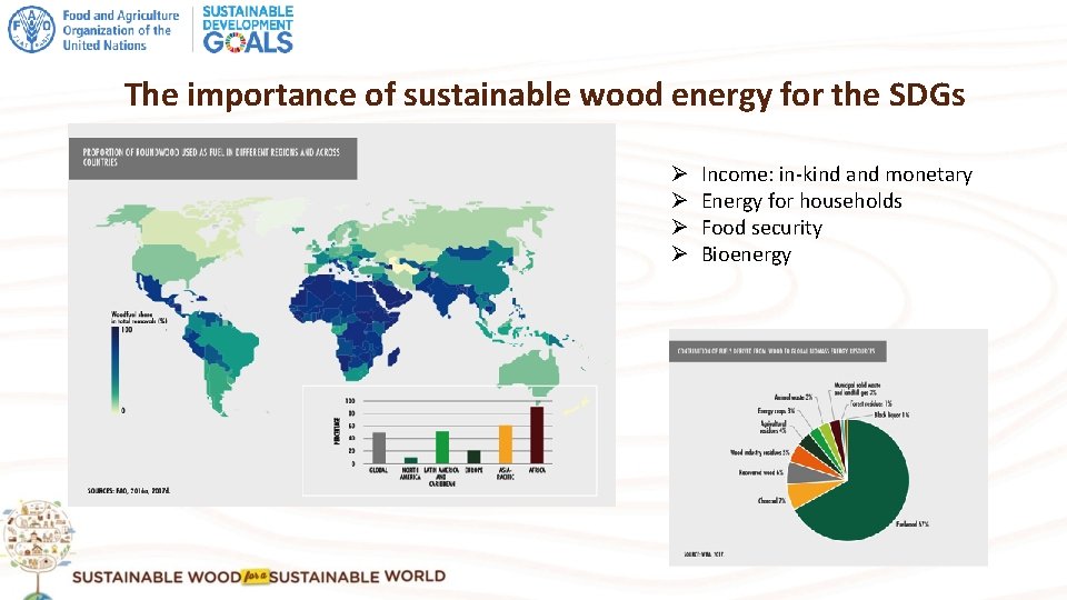 Sustainable Wood Value Chains Contributions to the UN