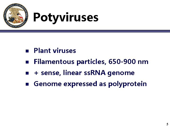 Topics in Viral Immunology Bruce Campell Supervisory Patent