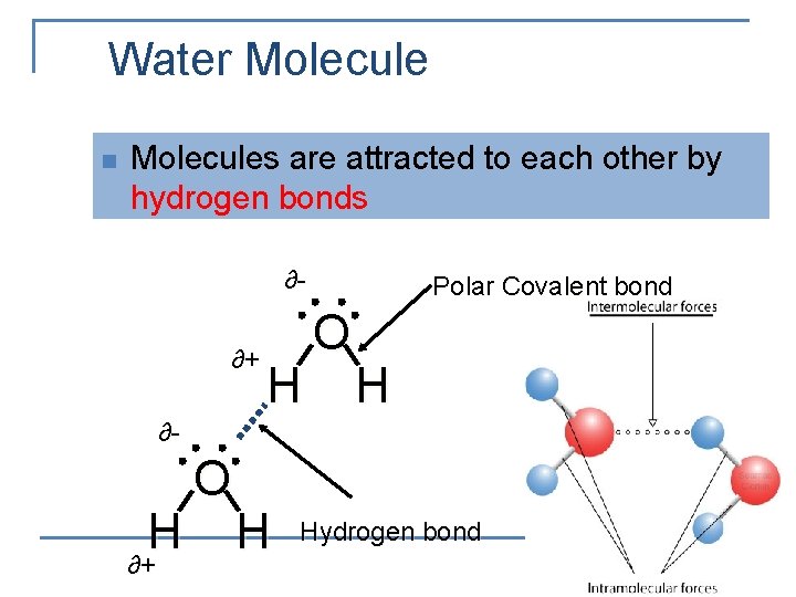Chapter 15 Water and Aqueous Systems Part 1