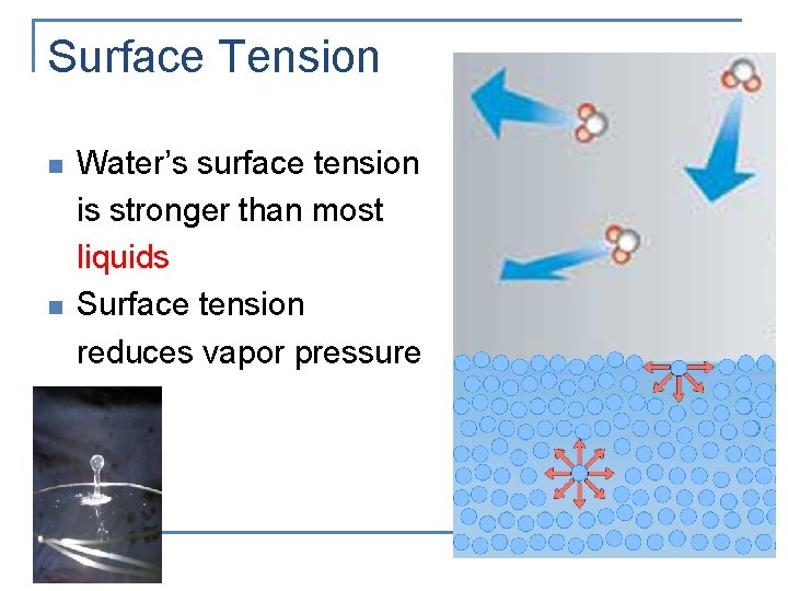 Chapter 15 Water and Aqueous Systems Part 1