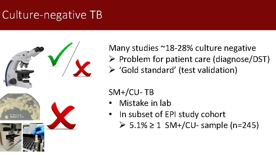 Characterization of lipiddependent TB cultures Annelies Mesman Ph