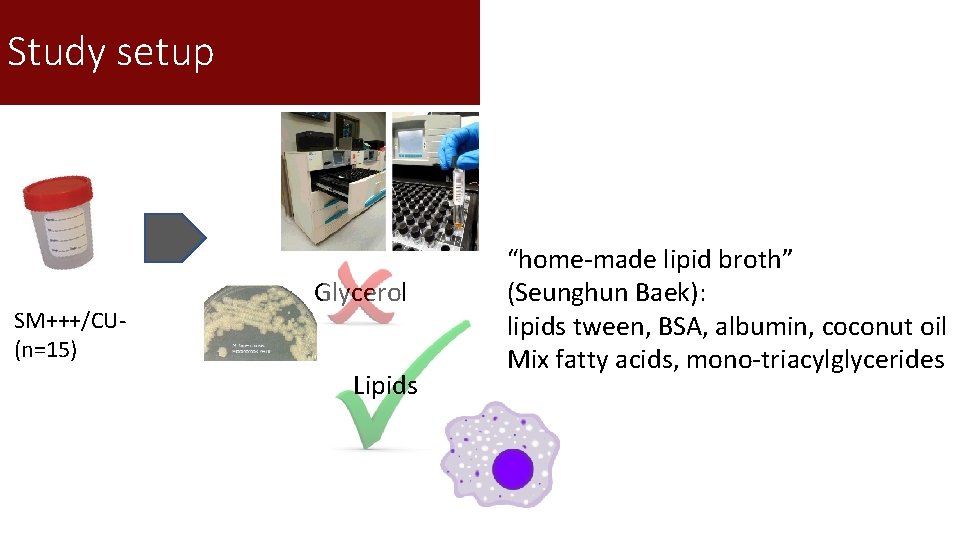 Characterization of lipiddependent TB cultures Annelies Mesman Ph
