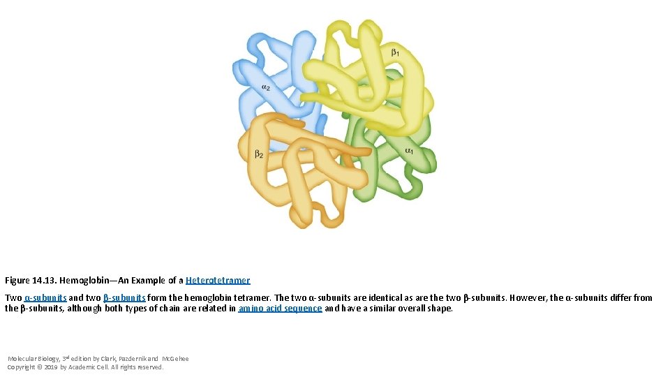 Unit 3 The Central Dogma of Molecular Biology