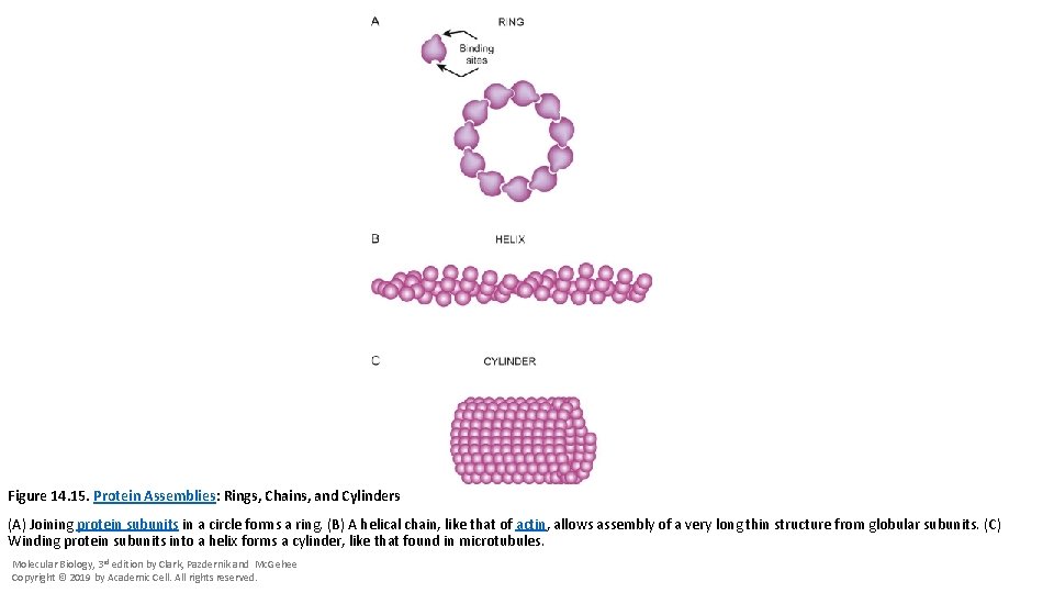 Unit 3 The Central Dogma of Molecular Biology