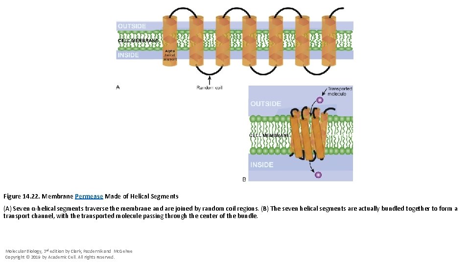 Unit 3 The Central Dogma of Molecular Biology