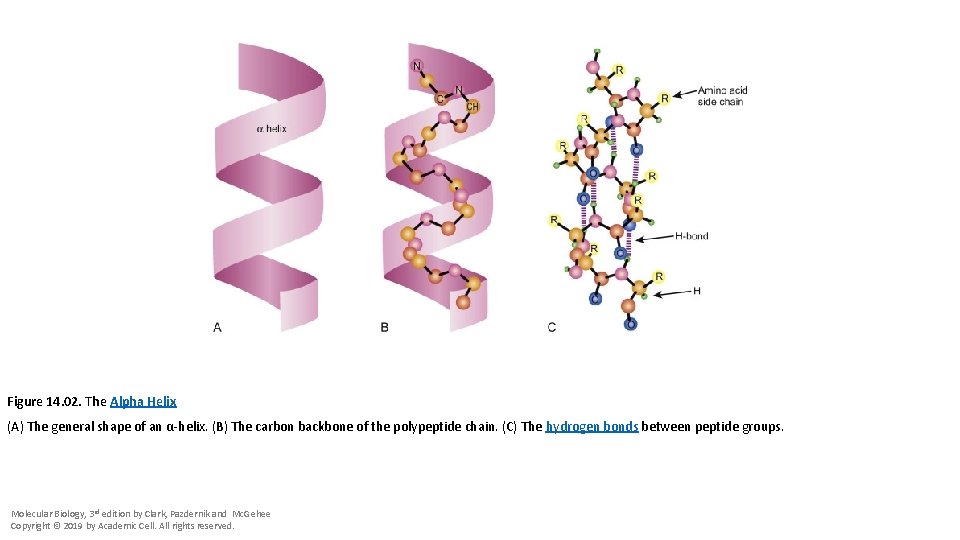 Unit 3 The Central Dogma of Molecular Biology