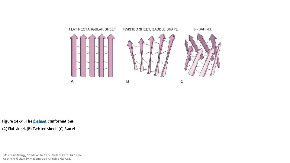 Unit 3 The Central Dogma of Molecular Biology